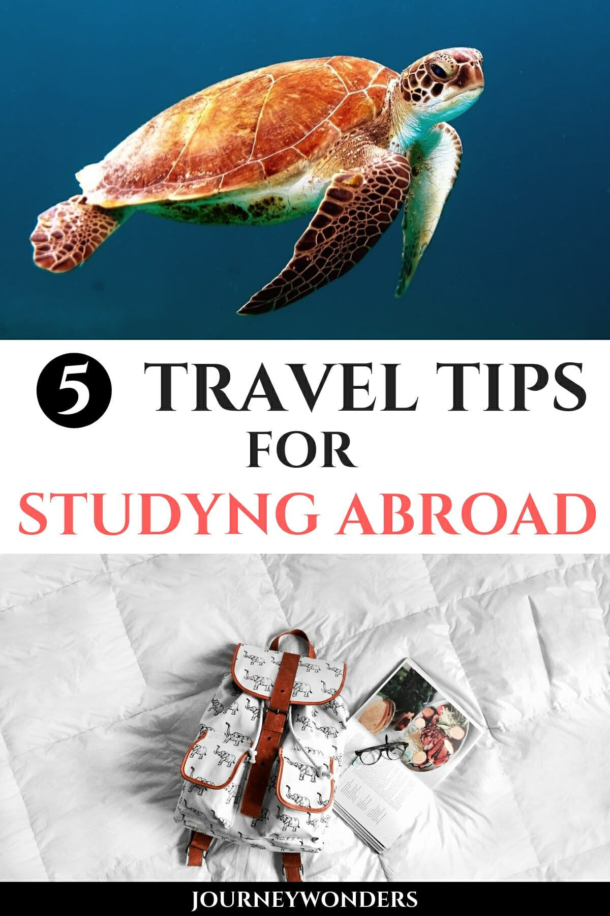Studying Abroad? Here's 5 Tips to Travel More!