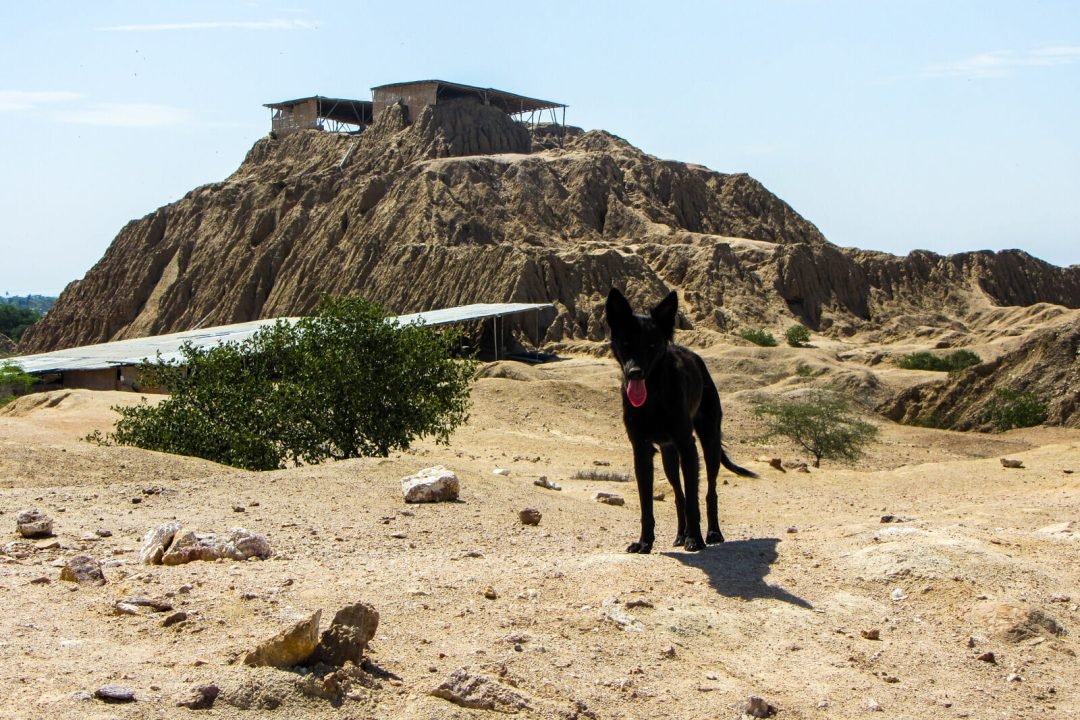 5 Wonderful Things to Do and See in Northern Peru