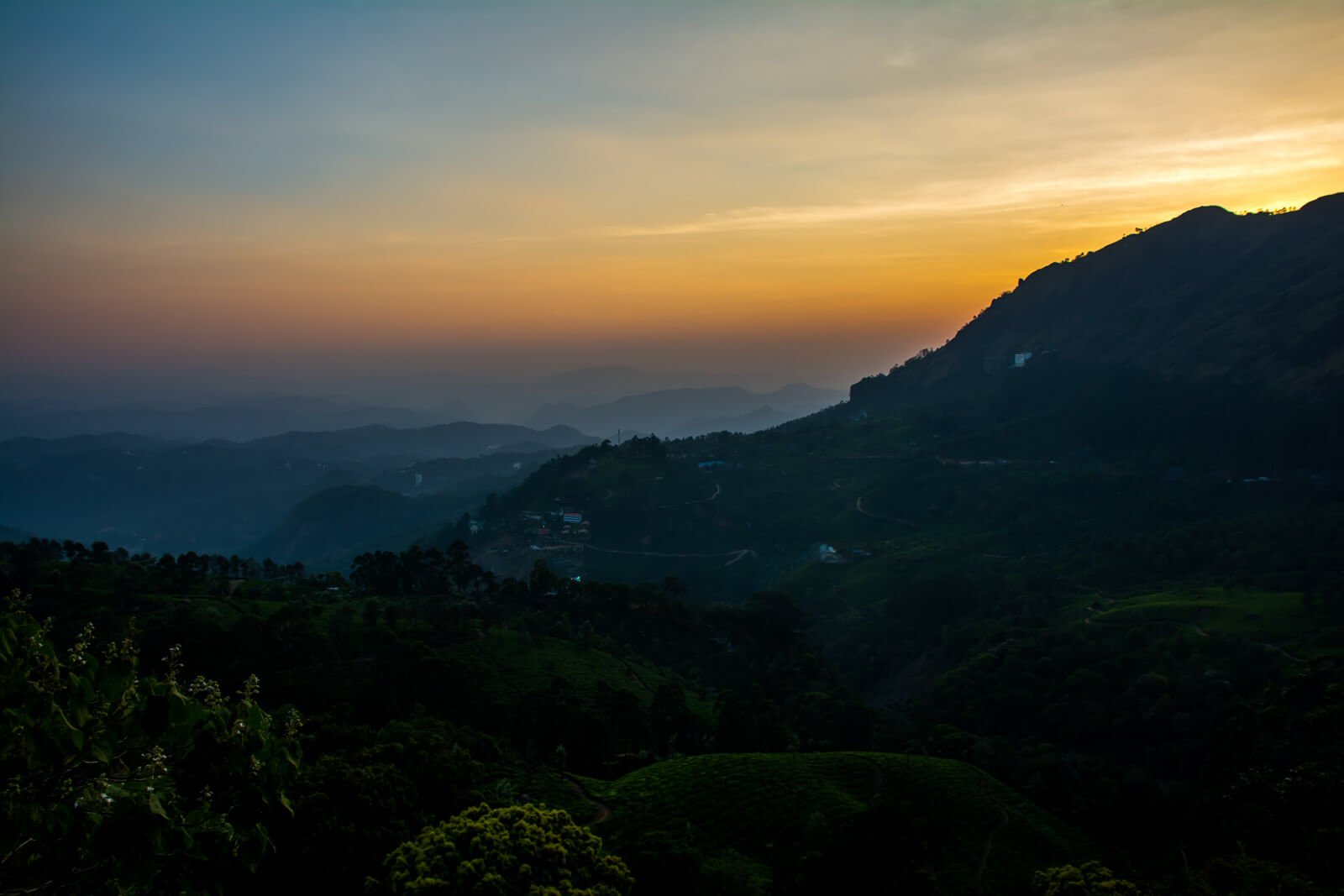 Kochi to Munnar: A Day Trip to the Hills of Kerala