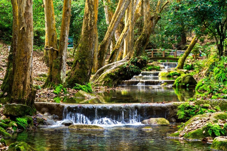 Ecotourism in the Sierra Gorda de Queretaro: El Mirador de Cuatro Palos