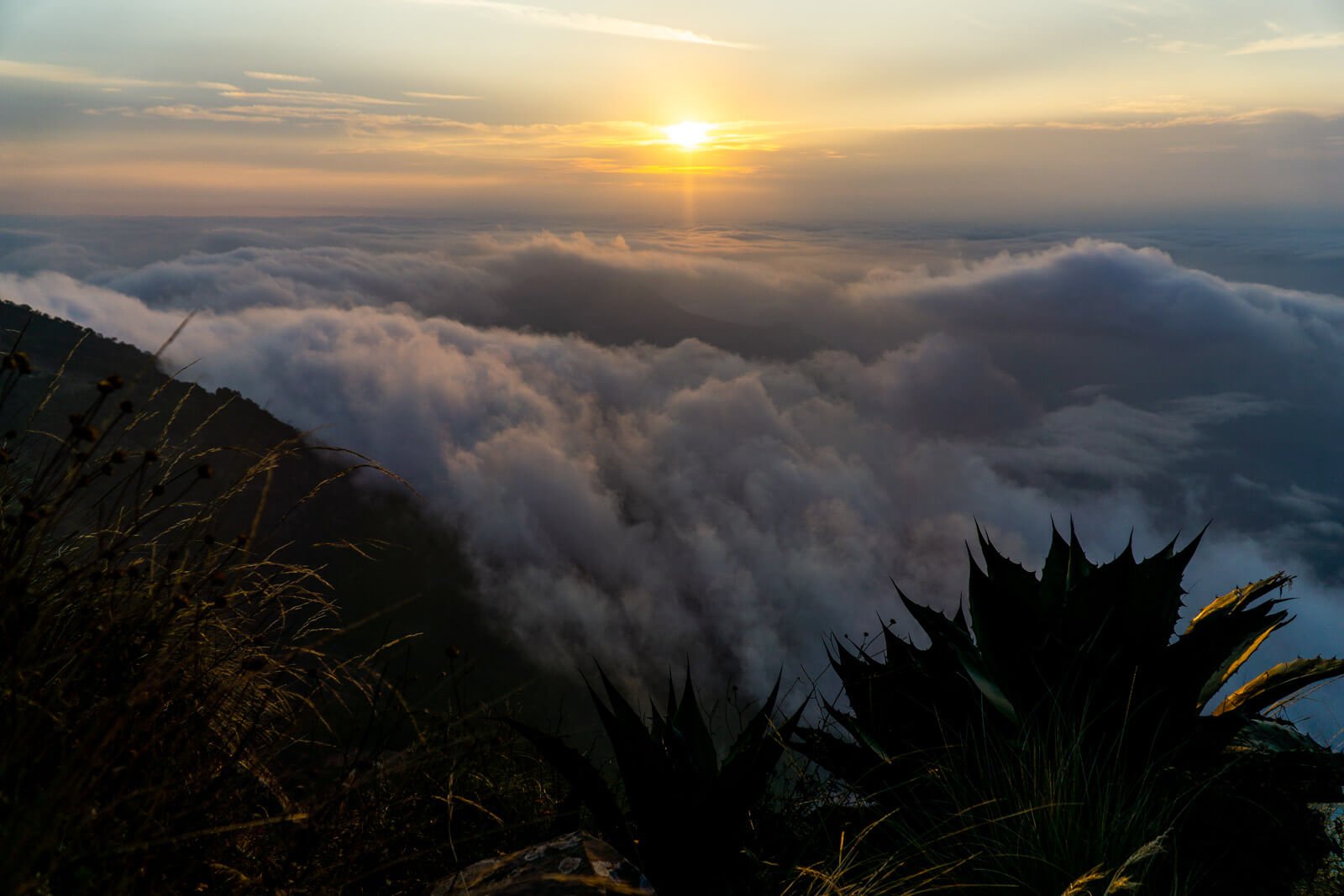 Ecotourism in the Sierra Gorda de Queretaro: El Mirador de Cuatro Palos