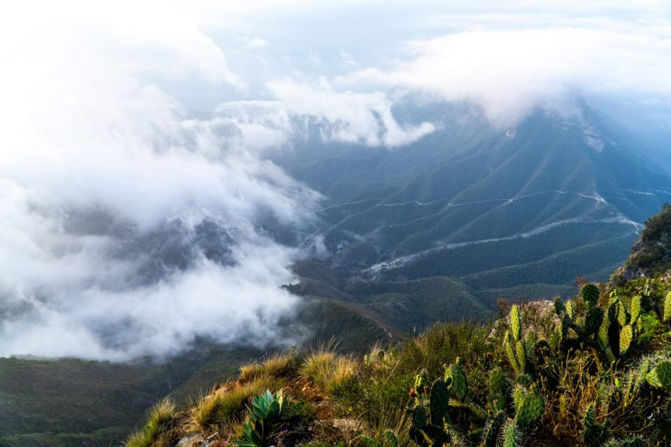 Ecotourism in the Sierra Gorda de Queretaro: El Mirador de Cuatro Palos