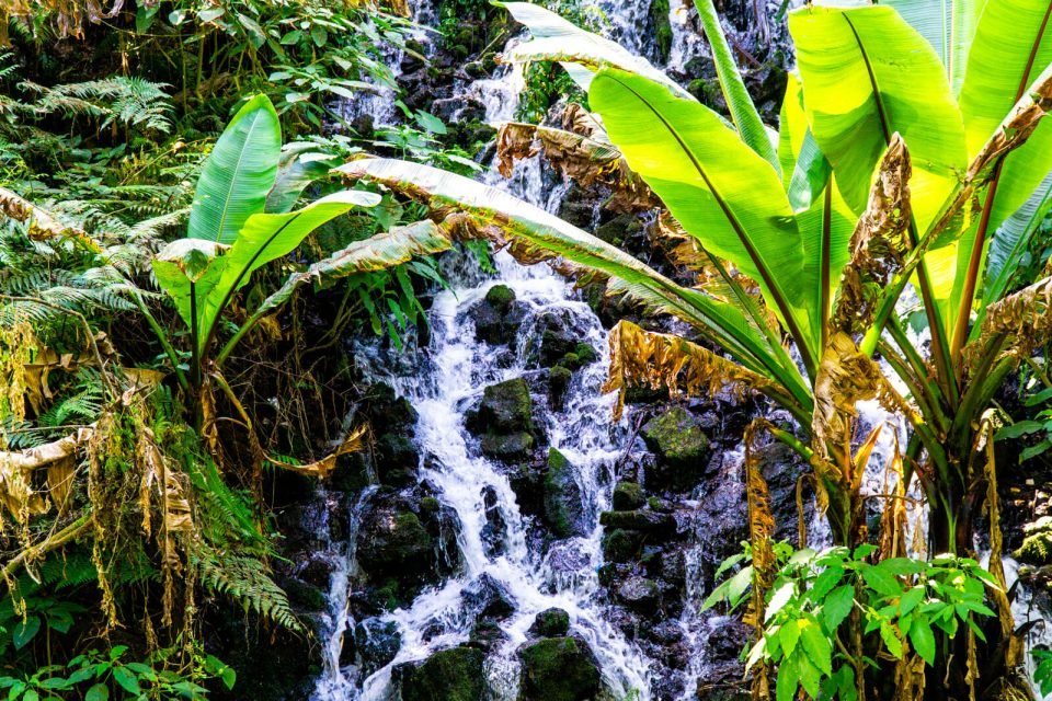 Ecotourism In Michoacan The Uruapan National Park