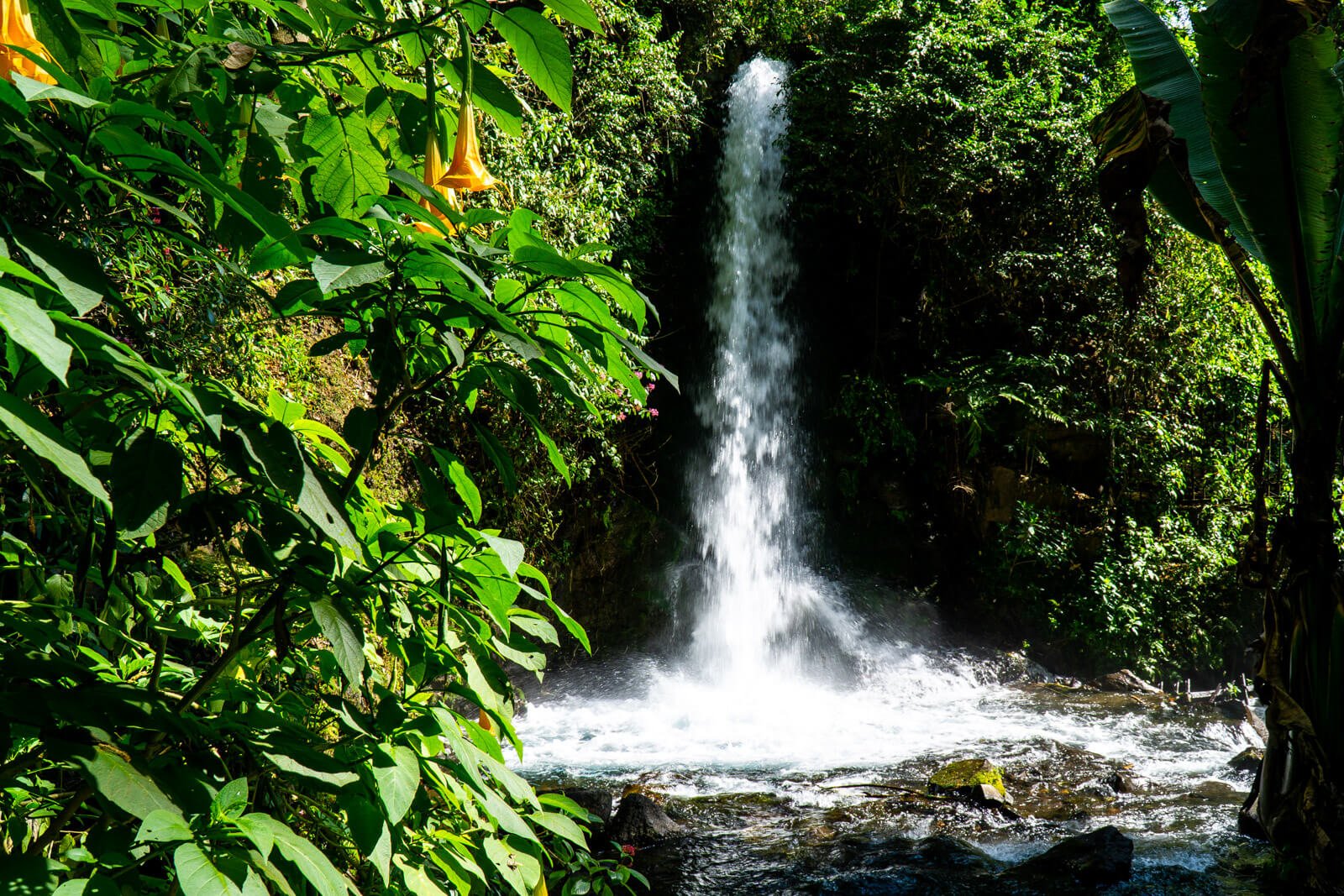 Ecotourism in Michoacan: The Uruapan National Park