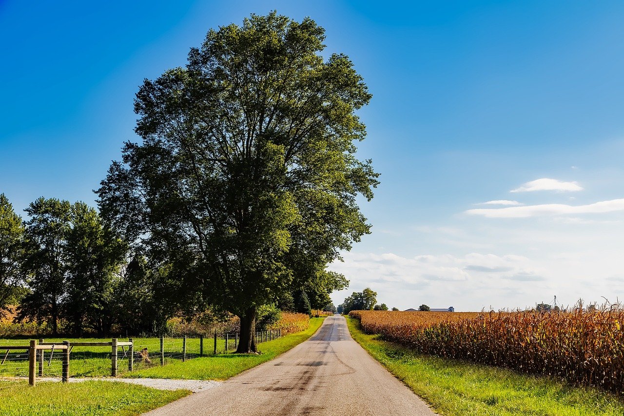 Essential Road Safety Tips for Travelers in Indiana | Journey Wonders